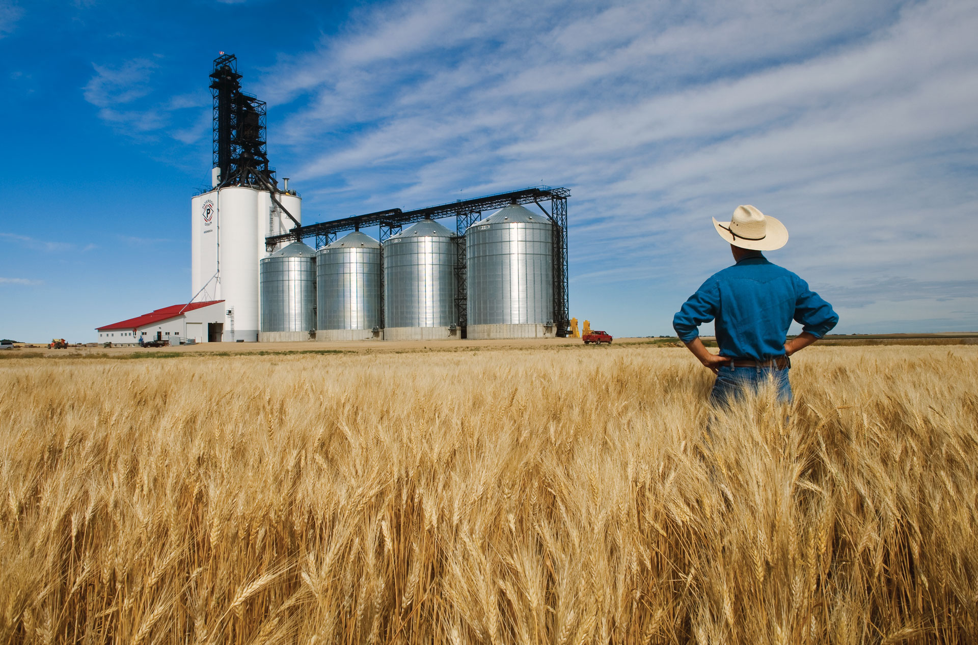 For Farmers - Paterson Grain