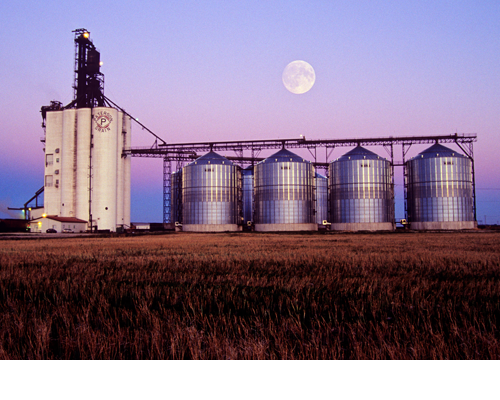 History Timeline – Paterson Grain