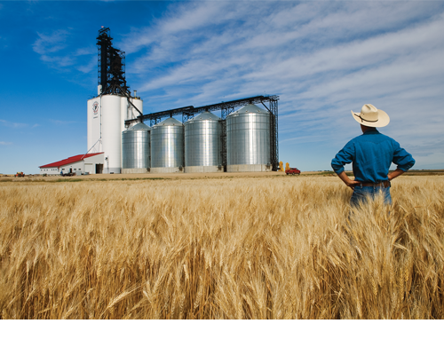 History Timeline – Paterson Grain