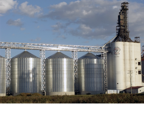 History Timeline – Paterson Grain