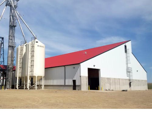 History Timeline - Paterson Grain